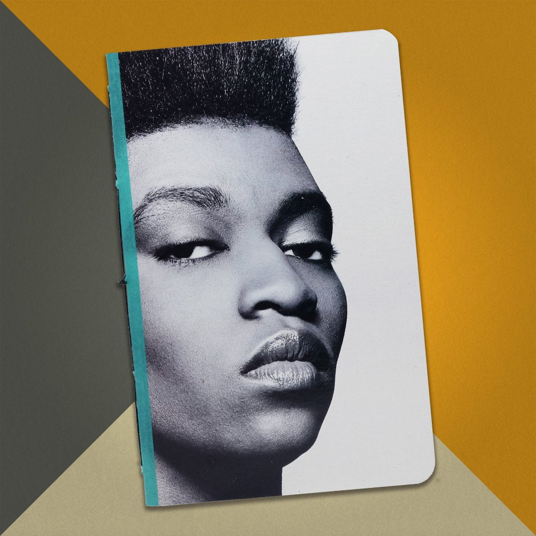 Adeva “Warning” Sketchbook – The Raven and the Goose